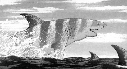 Striped shark | The Future is Wild Wiki | Fandom