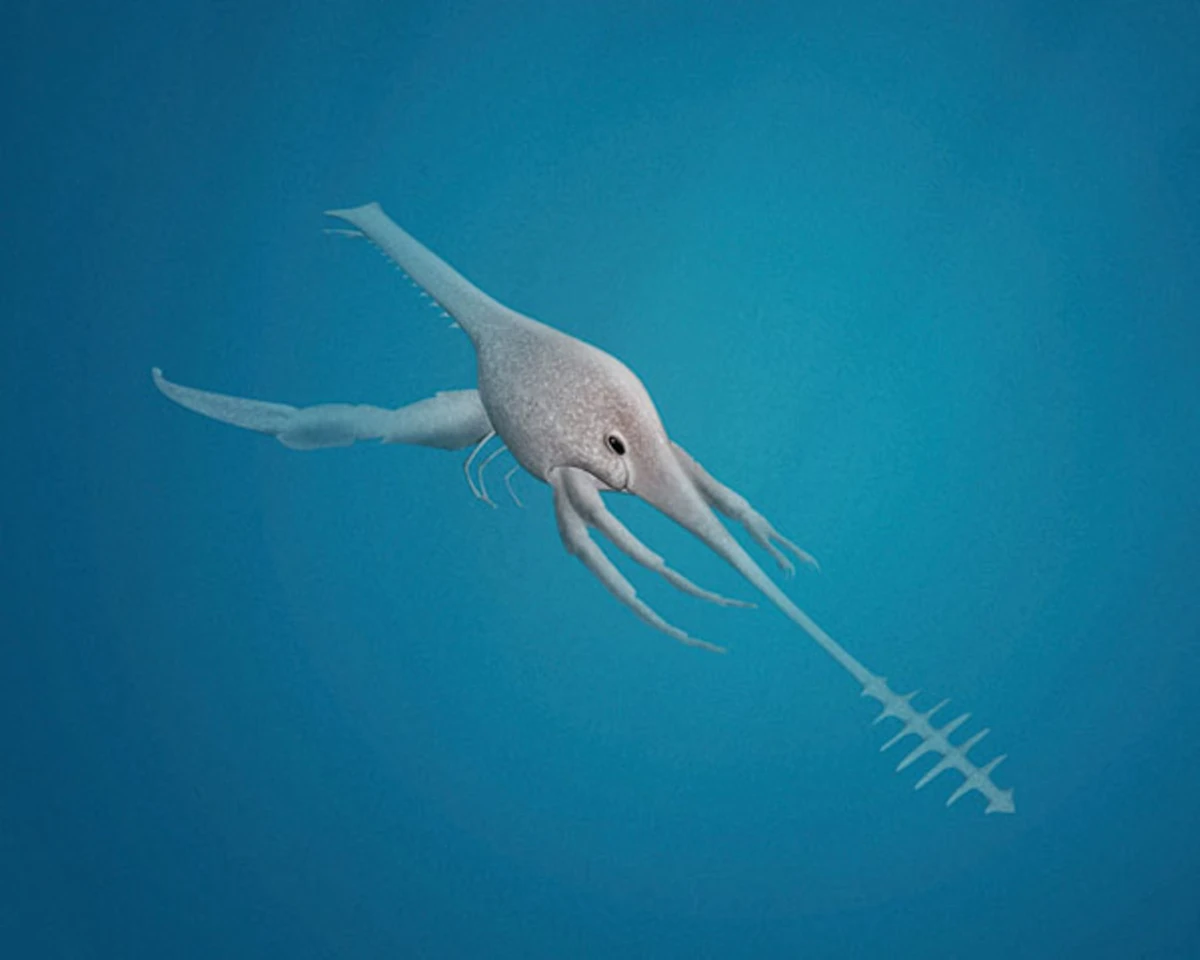 Sword silverswimmer | The Future is Wild Wiki | Fandom