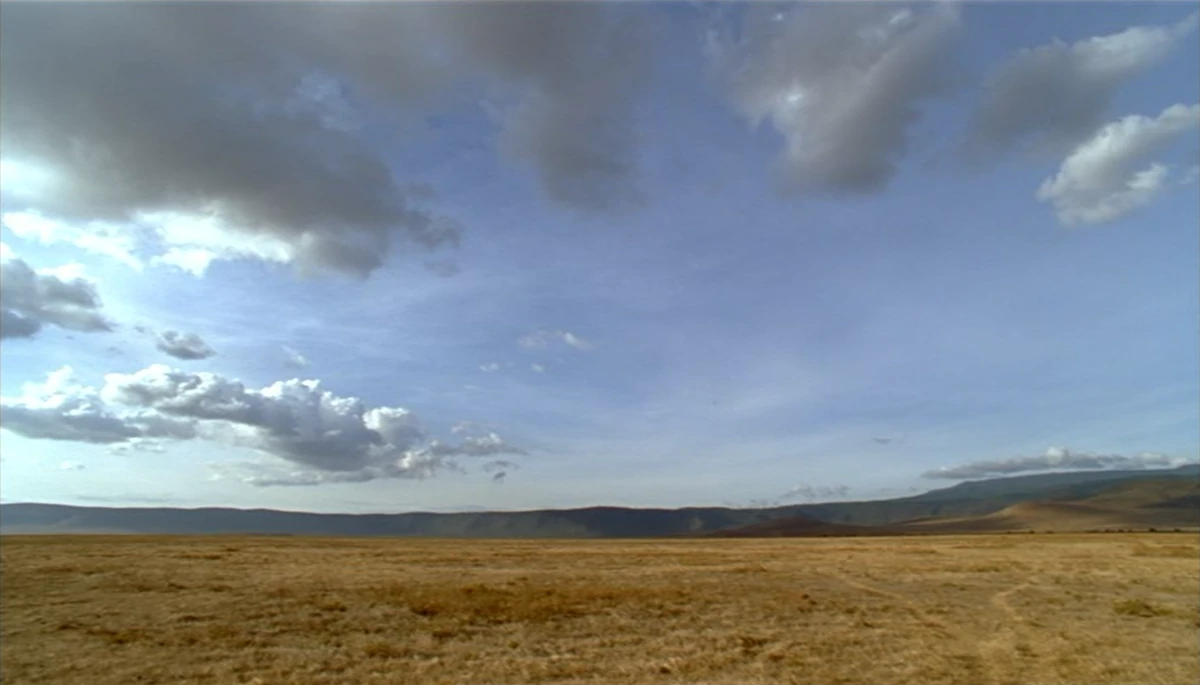 Amazon Grassland | The Future is Wild Wiki | Fandom