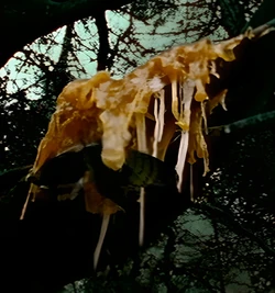 Slithersucker | The Future is Wild Wiki | Fandom