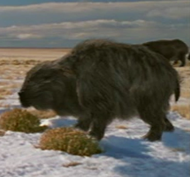 Category:Workshop | The Future is Wild Wiki | Fandom