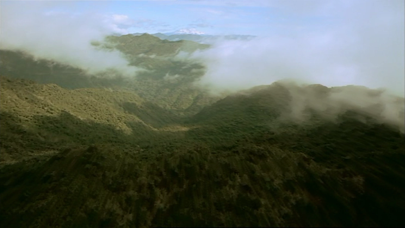 Discuss Everything About The Future is Wild Wiki | Fandom