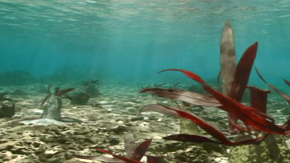 Shallow seas of 100 million AD | The Future is Wild Wiki | Fandom