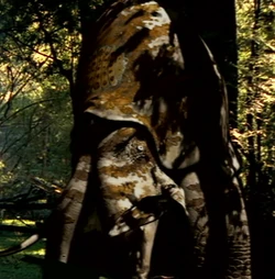 Megasquid | The Future is Wild Wiki | Fandom