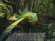 Forest flish | The Future is Wild Wiki | Fandom