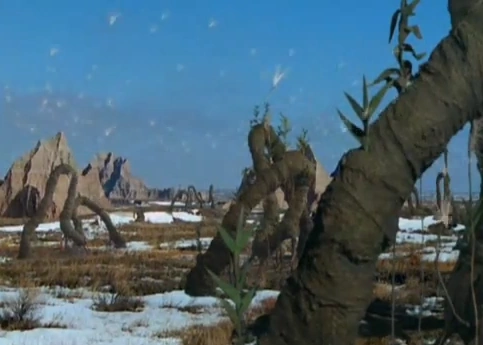 Grass tree | The Future is Wild Wiki | Fandom