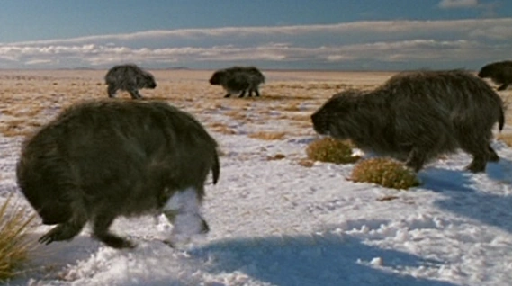 Shagrat | The Future is Wild Wiki | Fandom