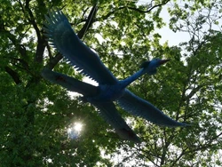 Great blue windrunner | The Future is Wild Wiki | Fandom