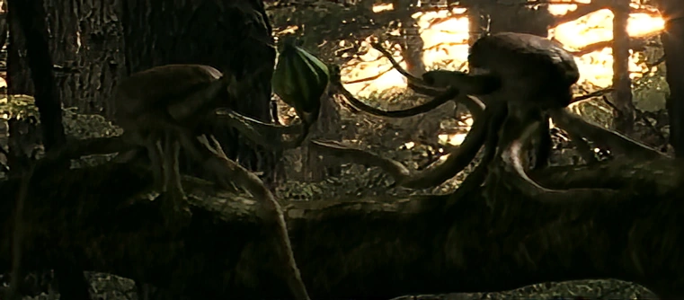 Squibbon | The Future is Wild Wiki | Fandom