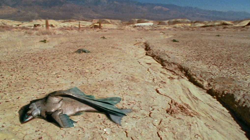 Flishwreck | The Future is Wild Wiki | Fandom