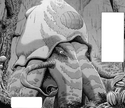 Megasquid | The Future is Wild Wiki | Fandom