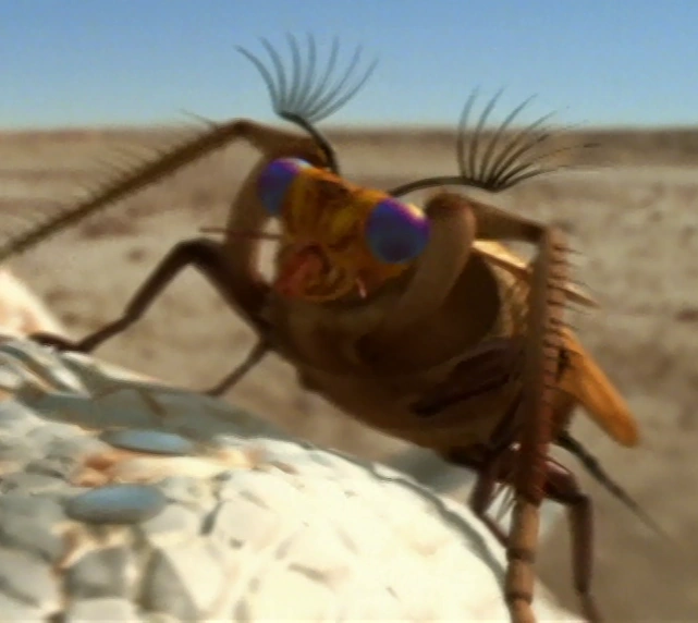 Bumblebeetle | The Future is Wild Wiki | Fandom