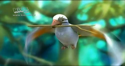 False spitfire bird | The Future is Wild Wiki | Fandom