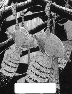 Forest flish | The Future is Wild Wiki | Fandom