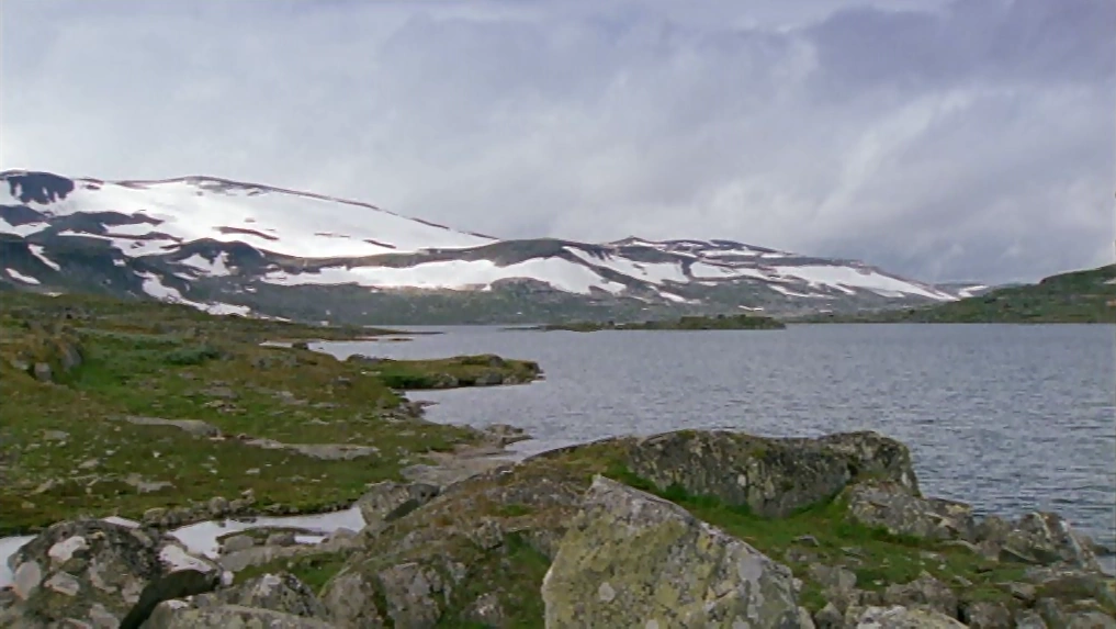 North European Ice | The Future is Wild Wiki | Fandom