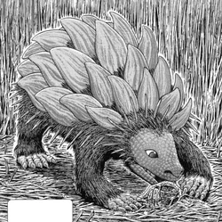 South American rattleback | The Future is Wild Wiki | Fandom