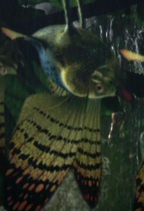 Forest flish | The Future is Wild Wiki | Fandom