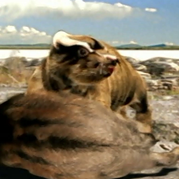 Gryken | The Future is Wild Wiki | Fandom