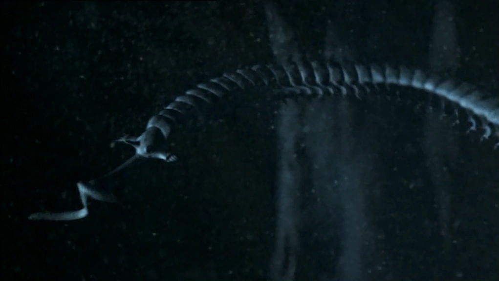 Central Desert polychaetes | The Future is Wild Wiki | Fandom