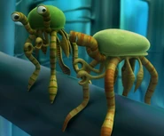 Squibbon | The Future is Wild Wiki | Fandom