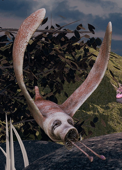 Skyswimmer | The Future is Wild Wiki | Fandom