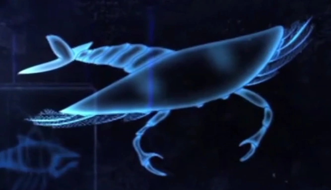 Seabed silverswimmer | The Future is Wild Wiki | Fandom