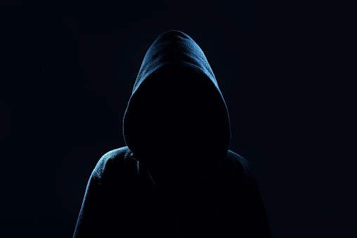 Octo | The Gang Multiverse Wiki | Fandom