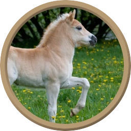 Raya Sunshine | The Gang's All Here Wiki | Fandom