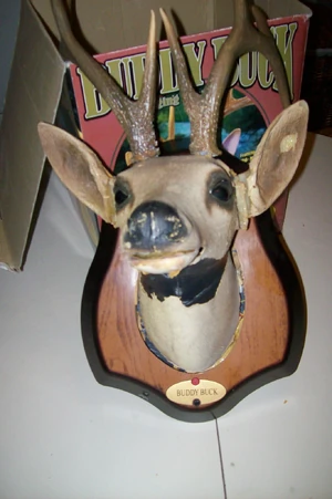 Buddy Buck | The Gemmy Industries Encyclopedia Wiki | Fandom