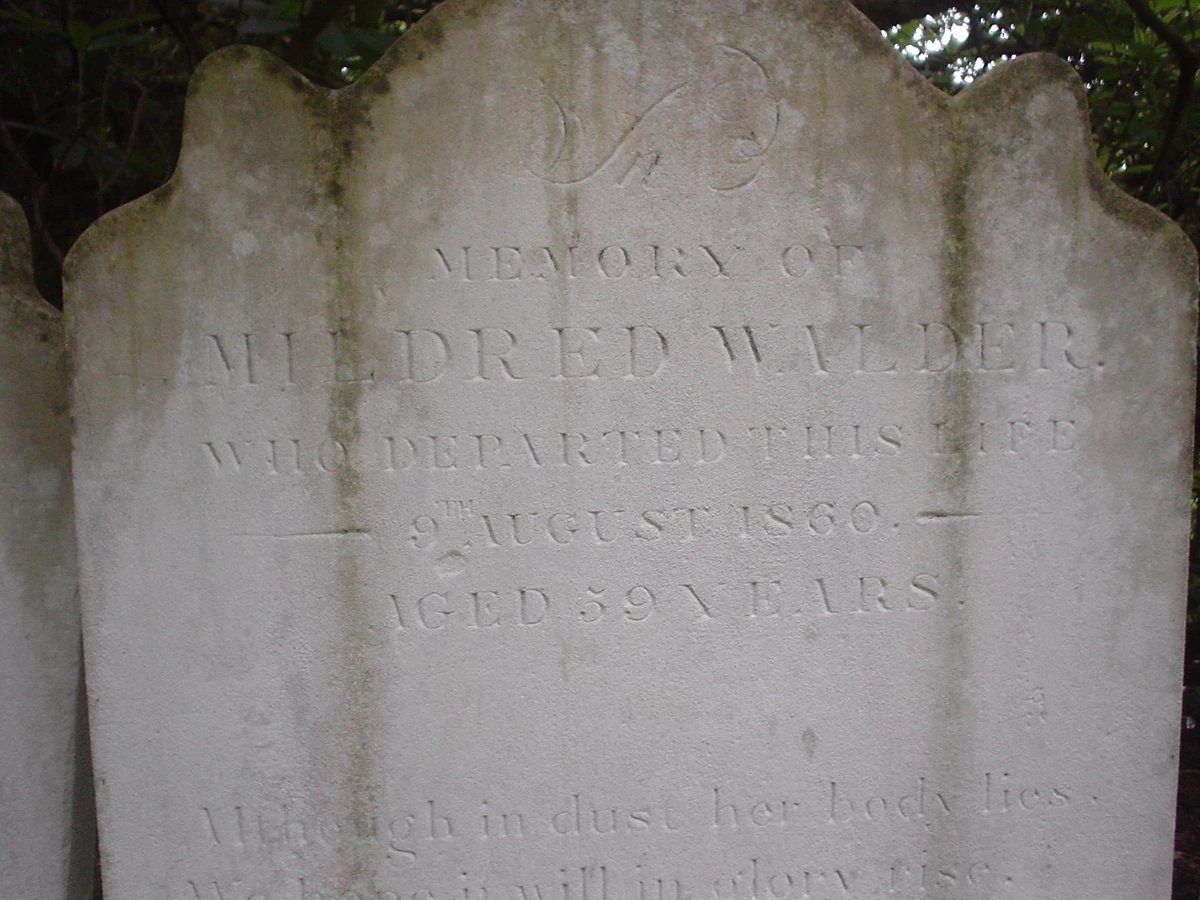 Amelia (Mildred) Wickham (1801-1860) | The Genealogy Wiki | Fandom