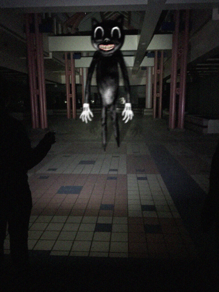 Cartoon cat store