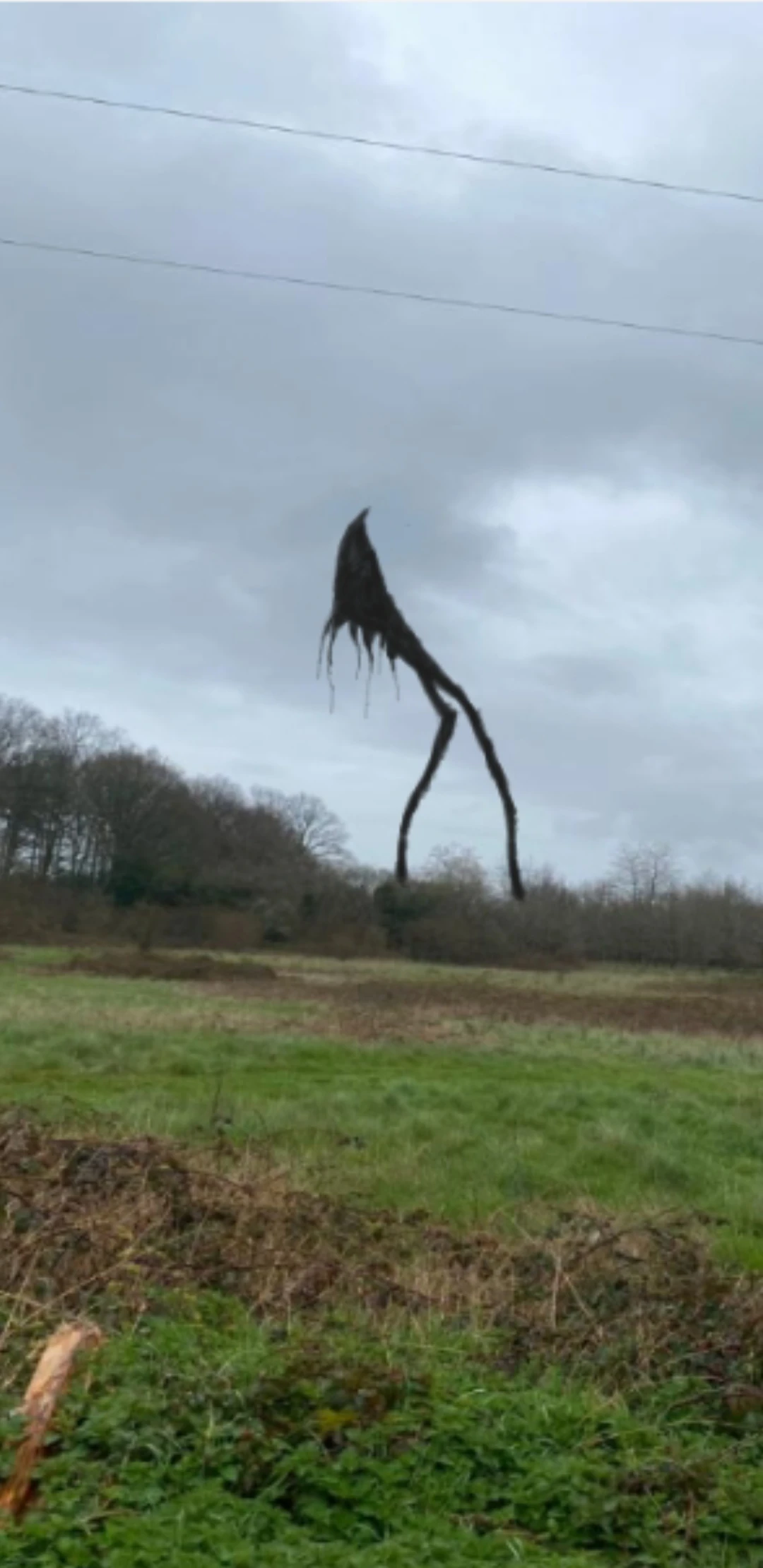 It fled | The giants Trevor Henderson creations Wiki | Fandom