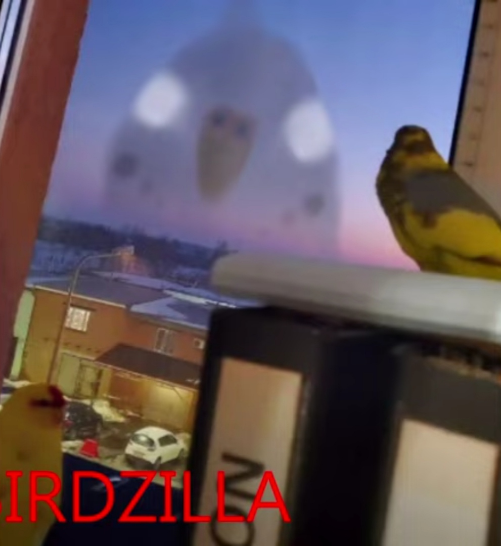 BIRDZILLA | The giants Trevor Henderson creations Wiki | Fandom