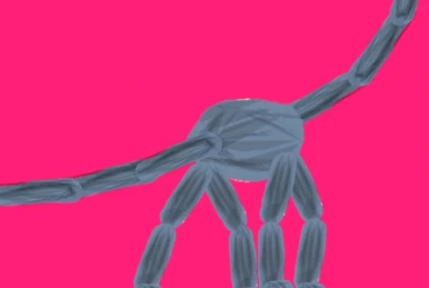 land dolphin trevor henderson