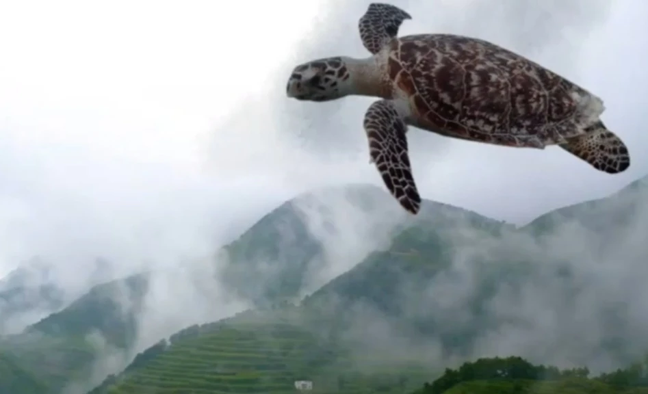 Floating Turtle | The giants Trevor Henderson creations Wiki | Fandom