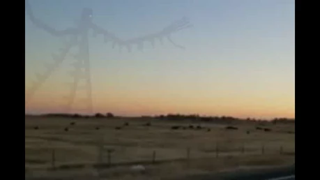 Colossal creation | The giants Trevor Henderson creations Wiki | Fandom