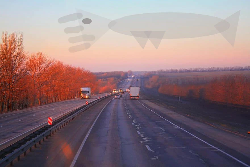 Road ground-whale | The giants Trevor Henderson creations Wiki | Fandom