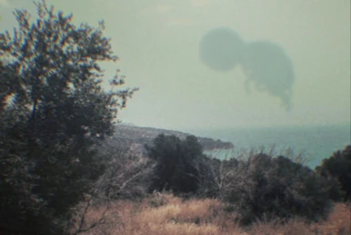 land dolphin trevor henderson