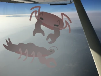 Aircraft LobsterCrab | The giants Trevor Henderson creations Wiki | Fandom