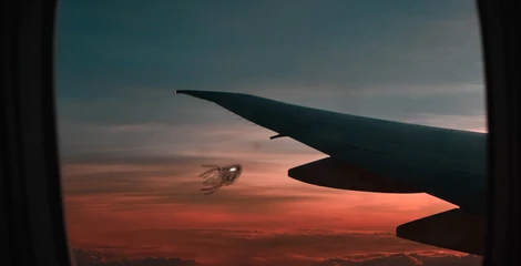 Flight 999 | The giants Trevor Henderson creations Wiki | Fandom