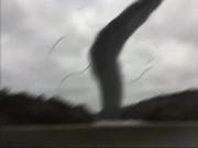 STORM INCOMING! | The giants Trevor Henderson creations Wiki | Fandom