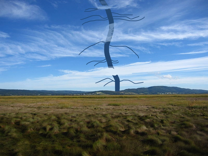 Sky worm | The giants Trevor Henderson creations Wiki | Fandom