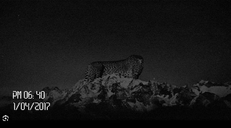 Headless Cheetah | The giants Trevor Henderson creations Wiki | Fandom