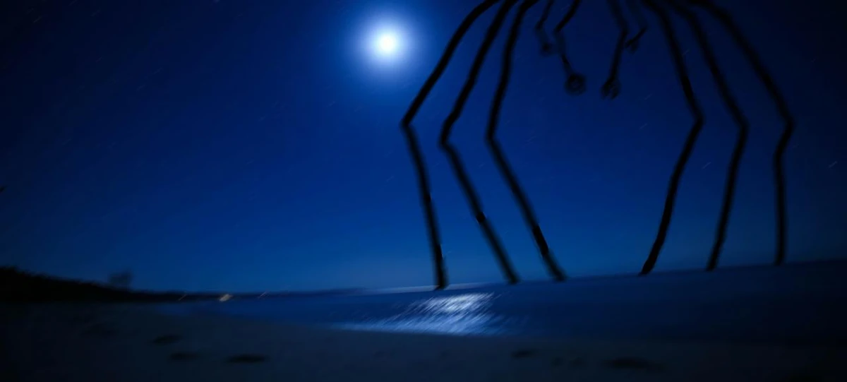 Not a crab | The giants Trevor Henderson creations Wiki | Fandom