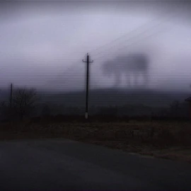 Category:Featured | The giants Trevor Henderson creations Wiki | Fandom