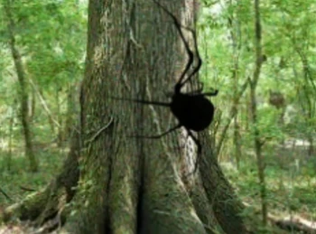 Wandering Spider | The giants Trevor Henderson creations Wiki | Fandom