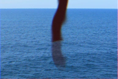 land dolphin trevor henderson