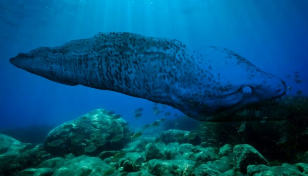 Giant Sea Eel | The giants Trevor Henderson creations Wiki | Fandom