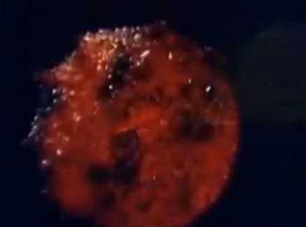 Garoga | Gigantis Universe Wiki | Fandom