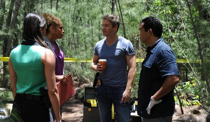 Aus alten Zeiten | The Glades Wiki | Fandom